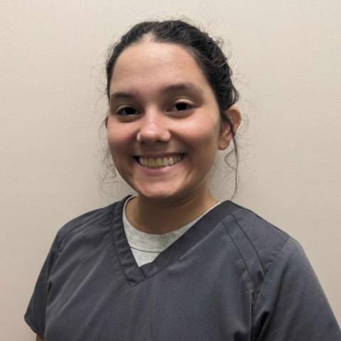 Veterinarian In Knoxville, TN 37932 | Lovell Animal Hospital